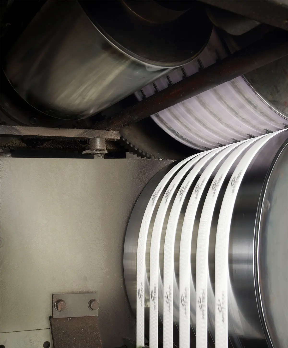 Reggetta PET-RD 99 - IPPR